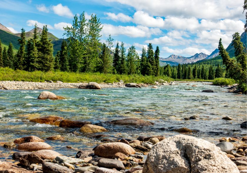 Alaska | Putney Student Travel